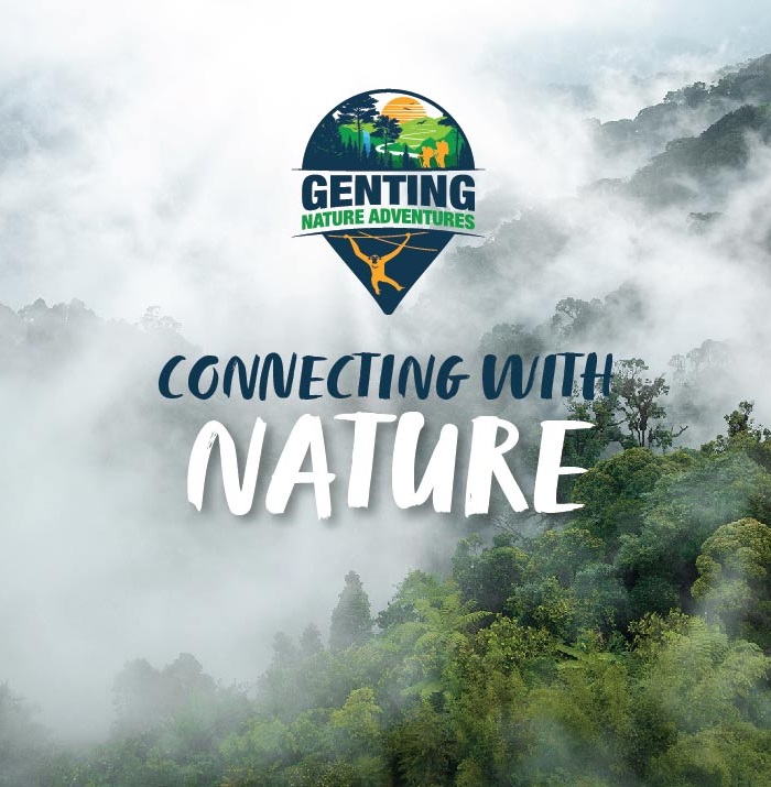 Homepage | Resorts World Genting